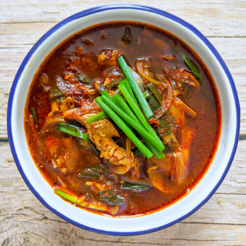 Dak Gae Jang / Soupe de poulet épicée coréenne / 닭개장 - Yun's